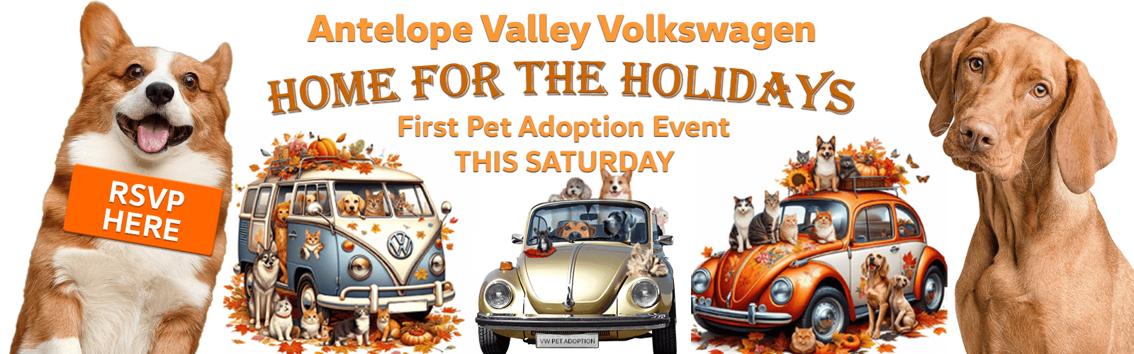 Home for the Holidays Pet Adoption Event! | Antelope Valley Volkswagen