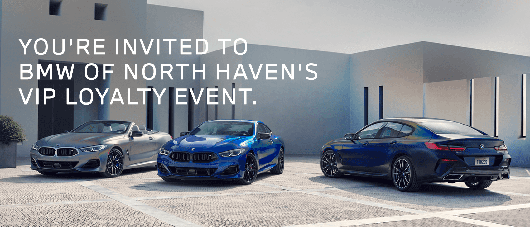 BMW VIP Loyalty Event | BMW of North Haven
