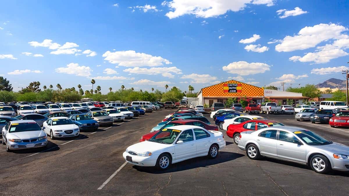 Characteristics of a Good Car for College Students | Cactus Jacks Auto