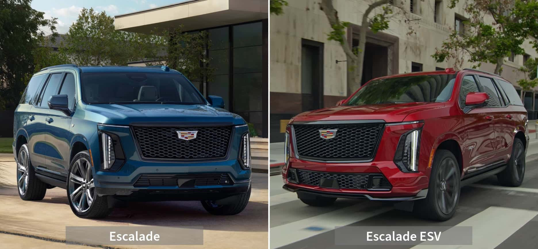 Cadillac Escalade vs. Escalade ESV Comparison | Jim Hudson Cadillac