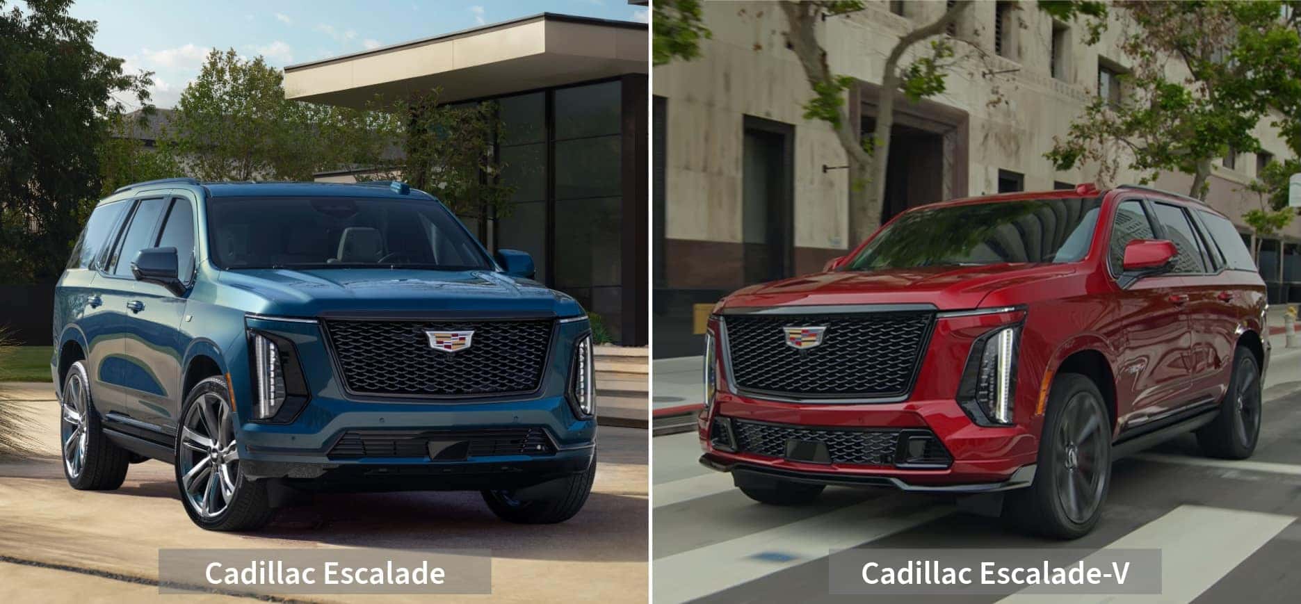 Cadillac Escalade vs. Escalade-V: What’s the Difference? | Jim Hudson ...