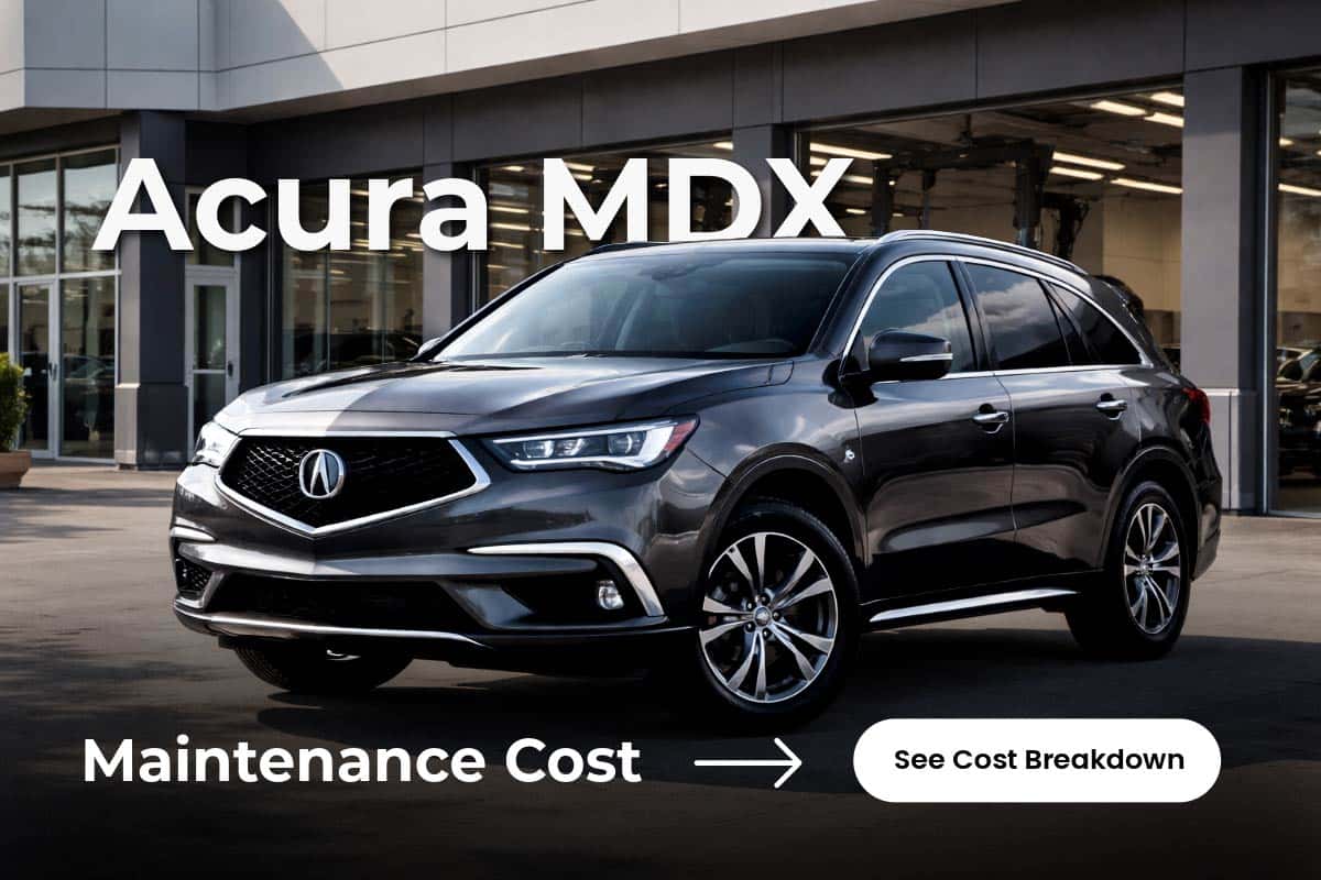 Postacura Mdx Maintenance Schedule